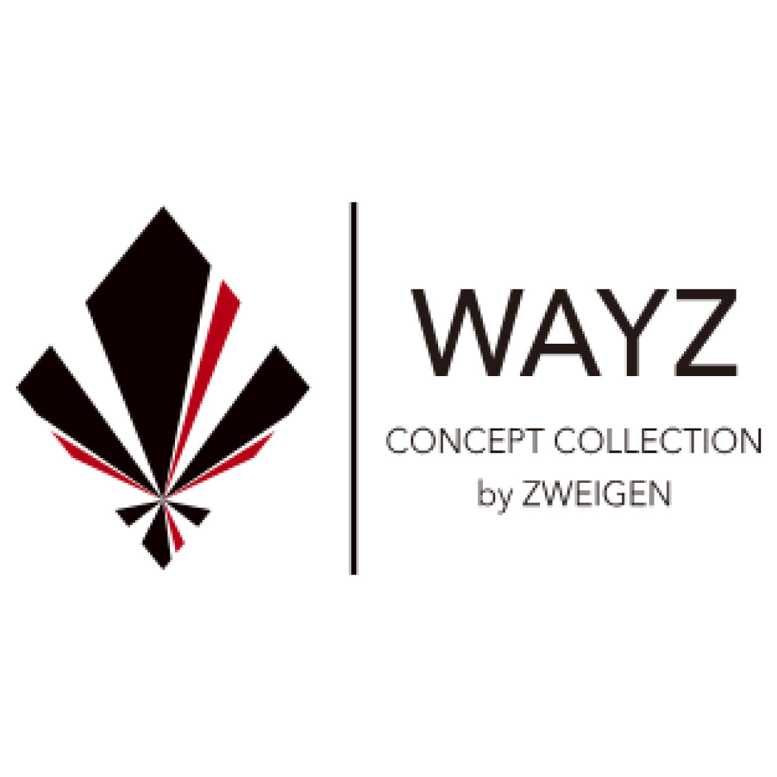 【WAYZ】キャップ/ハット – ツエーゲン金沢 オフィシャルオンラインショップ